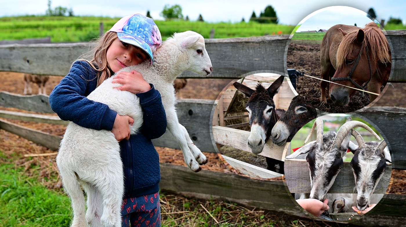 eTV - Vozite se prema Varaždinu i ono imanje s desne strane? To je ...