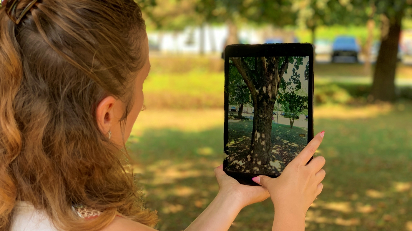 Varaždinska stabla pod povećalom: U tijeku je pregled stabala i njihov ...